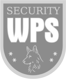 Security services | Aplano